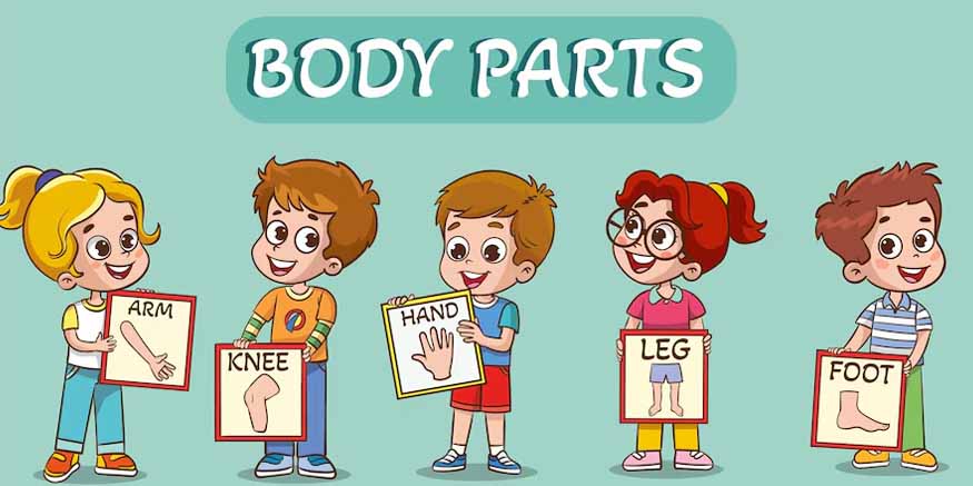 Fun Body Parts Game for Kids: Learn and Play
